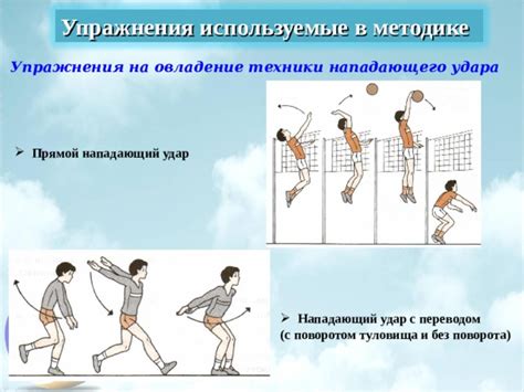 Как в волейболе правильно нападать: ТОП 40 упражнений на нападающий ...