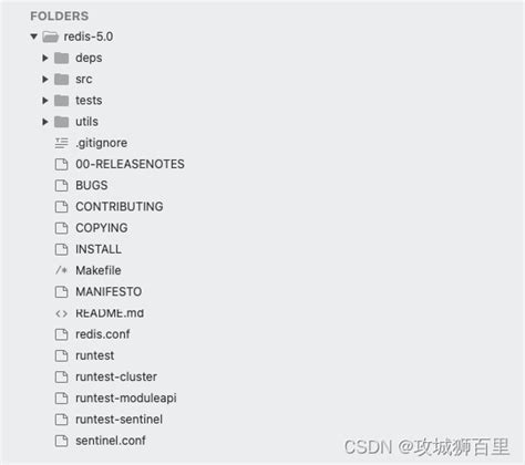 redis 源代码的整体架构，想要彻底掌握 redis 就从源码入手 用redis而不看redis源码会导致 csdn博客