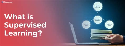 Nắm Vững Các Kỹ Thuật Học Tập Có Giám Sát Và Không Giám Sát