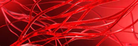 Giant Cell Arteritis Physicians Weekly