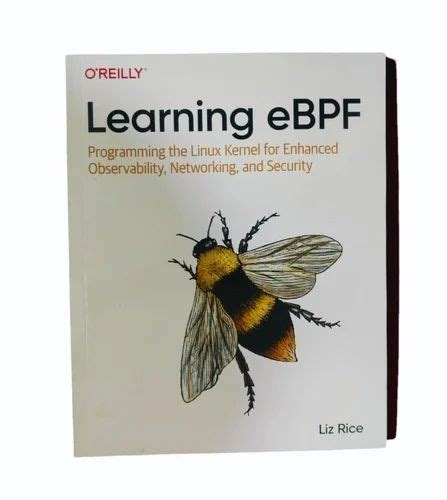 English Learning Ebpf Educational Books 12 At ₹ 400piece In New Delhi