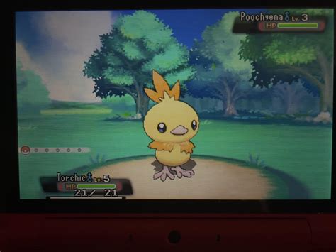 [6] Shiny Torchic After 2315 Sr Completed The Trio Twice Now This