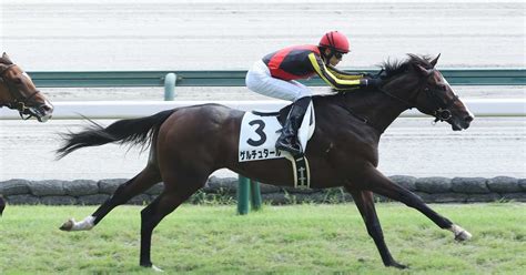 【2歳新馬・中京5r】1番人気ゲルチュタールが抜け出しv 坂井瑠星騎手「伸びしろのある馬」 サンスポzbat