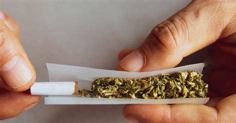 Dependência De Maconha Como é O Tratamento