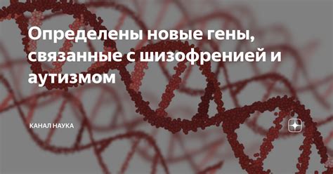 Определены новые гены связанные с шизофренией и аутизмом Канал Наука