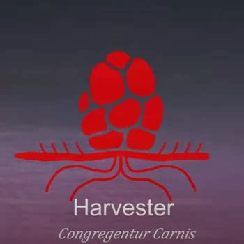 Congregentur Carnis Vita Carnis Wiki Fandom