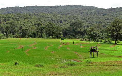 Dhemaji Tourism 2025 Assam Top Places Travel Guide Holidify
