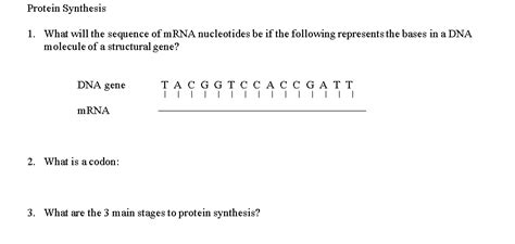 Solved 1 What Will The Sequence Of Mrna Nucleotides Be If