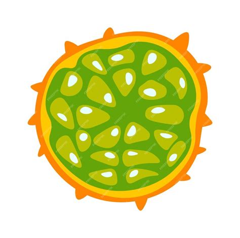 Premium Vector Kiwano Exotic Fruit Vector Illustration