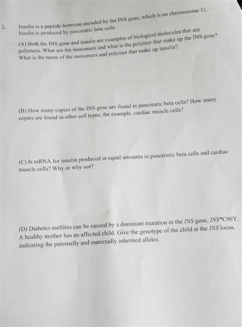 Solved Insulin Is A Peptide Hormone Encoded By The Ins Gene