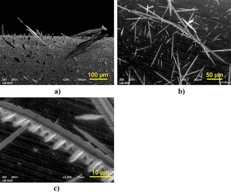 Morphology Of Sn Dendrites Produced By A Potentiostatic Regime Of