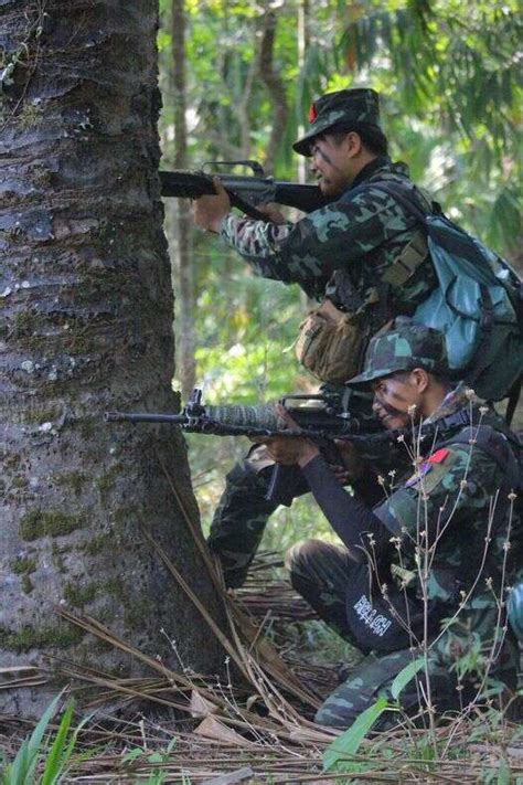 စစ်ကိုင်းမြို့နယ်နှင့် တနင်္သာရီမြို့နယ် တို့တွင် မိုင်းရှင်းနေသော စစ