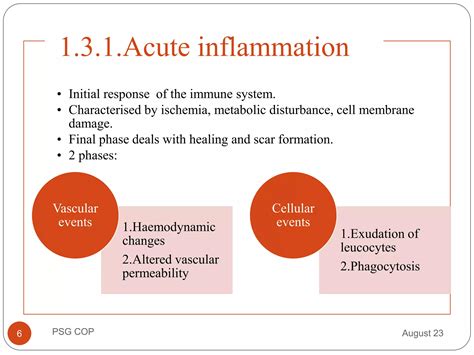 Cellular And Biochemical Mediators Of Inflammation Pptx