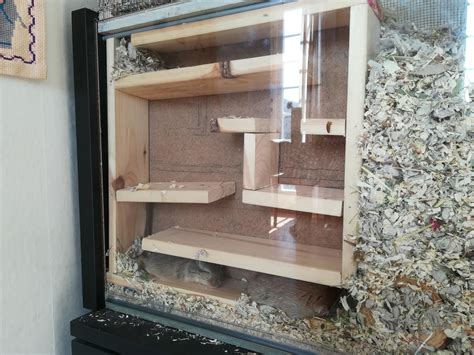 Build A Vertical Maze For My Gerbils Gerbil