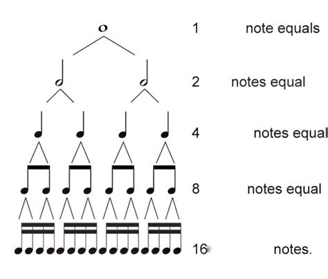 Music Rhythm Tree Diagram Quizlet