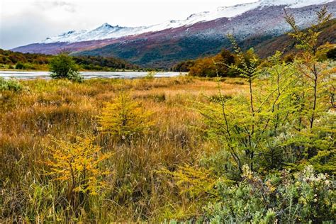 Parque Nacional Da Terra Do Fogo Patagônia Argentina Foto Premium