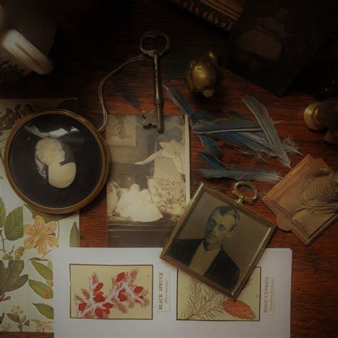 Author Adrienne Morris Step Into The Past—lose Yourself In The Story