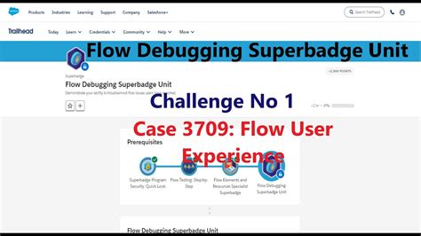 flow debugging superbadge unit challenge no 1 case 3709 flow user