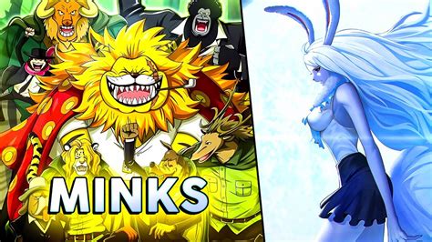Minks Explicando A Raça Dos Minks E A Transformação Sulong One Piece Youtube