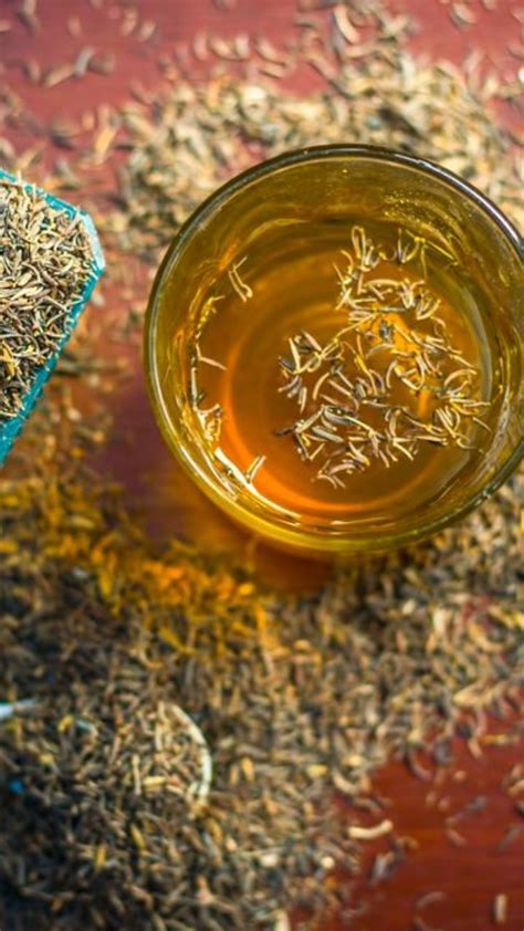 रिकाम्या पोटी जिऱ्याचे पाणी पिण्याचे फायदे माहित आहेत का Health