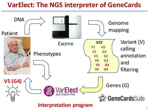Disease Interpretation Of Whole Genome Sequence Variants