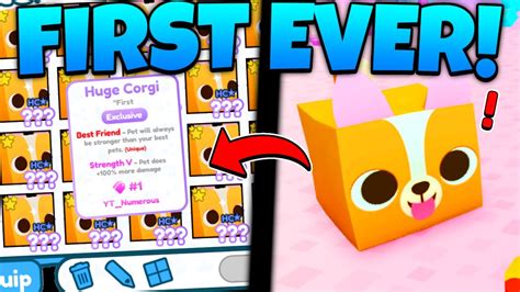 Pet Simulator X Value List Corgi At Edith Drum Blog