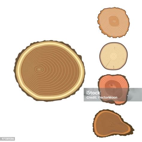 나무 나무 트렁크 조각 텍스처 원형 잘라 나무 원료 벡터 세부 공장 년 역사 질감된 거친 숲 나무 톱 그루터기 식물 부위에 대한 스톡 벡터 아트 및 기타 이미지 Istock