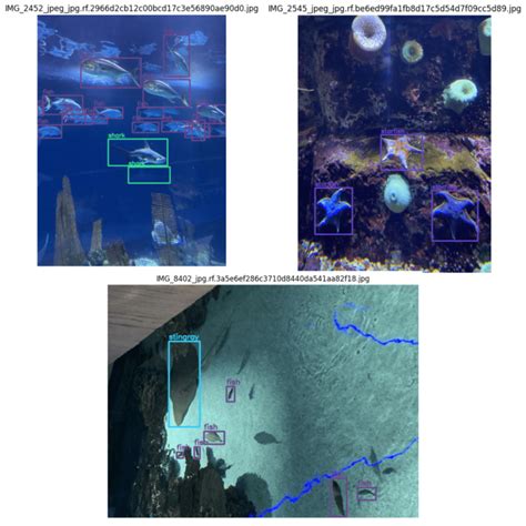 Train Detr On Custom Dataset