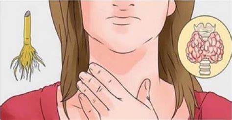 10 ervas que curam e restauram a tireoide e os hormônios masculinos e