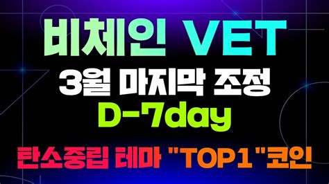 Vet Top D Day Top