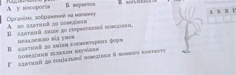 організм зображений на малюнку А не здатний до поведінкиБ здатний лише