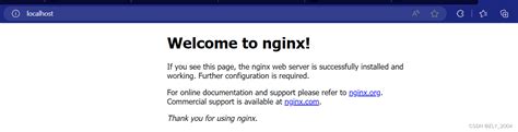 windows如何关闭IIS 因为占用80端口而无法启动nginx 怎么关闭iis CSDN博客