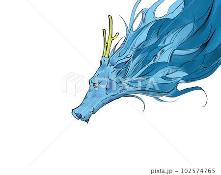 青龍のイラスト素材 102574765 PIXTA