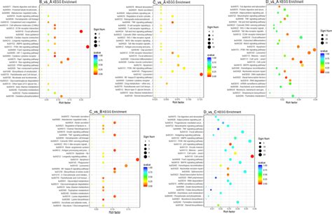 The Analysis Of Kegg Pathway Functional Enrichment The Ordinate