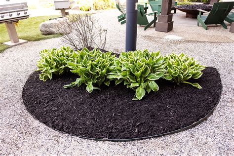 Procare Landscape Management Inc Grand Rapids Mi