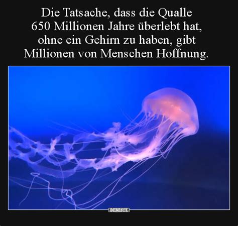 Die Tatsache Dass Die Qualle 650 Millionen Jahre überlebt Hat Ohne