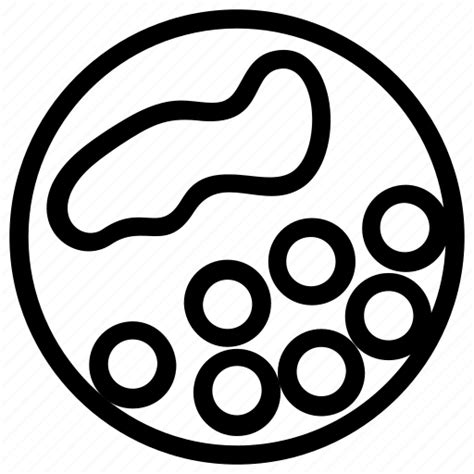 Cholesterol Dermatology Lipid Skin Skin Care Skin Line