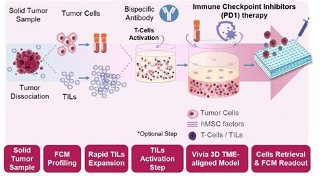 3d Tme Aligned Assays For Immune Check Point Inhibitors Ichp Mono