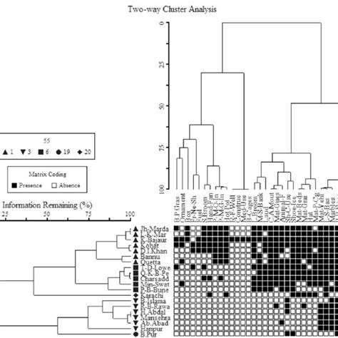 Two Way Cluster Dendrogram Showing The Distribution Of The Various