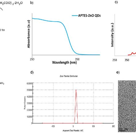A Synthesis Of Aptes Zno Qds B Uv−visible Absorption Spectrum Of