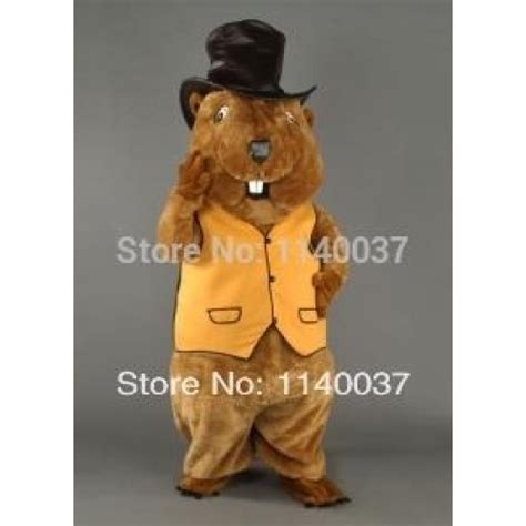 School College Mascot Costumes For Sale Joymascot
