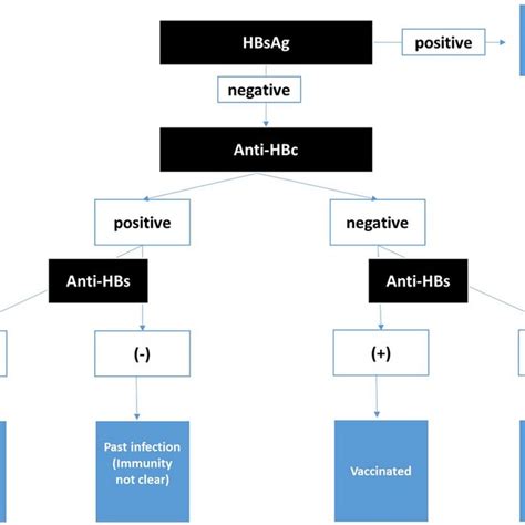 Hbv Serology Adapted From Koutsianas And Colleagues 5 Download Scientific Diagram