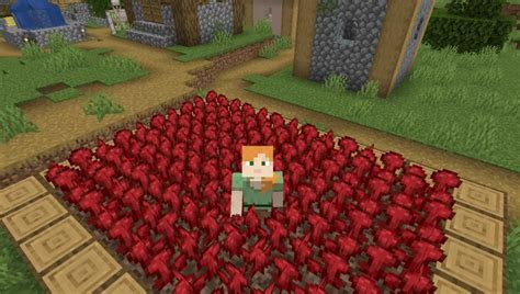 Minecraft Nether Wart How To Make It Grow Faster