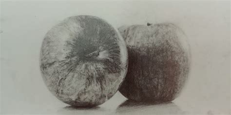 Apple Pencil Drawing Pencil Drawings Sketches Drawings