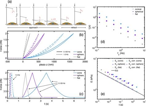 Measuring The Viscoelastic Relaxation Function Of Cells With A Time Dependent Interpretation Of