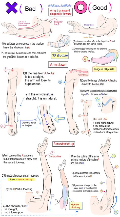 Pin By Imaginer Th On Takuya Kakikata Anatomy For Artists Body Reference Drawing Anatomy