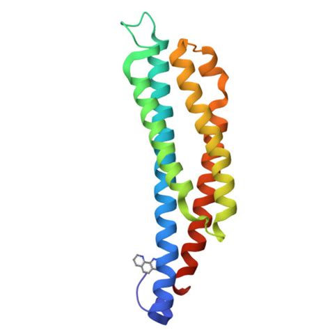 RCSB PDB 1LIH THREE DIMENSIONAL STRUCTURES OF THE LIGAND BINDING