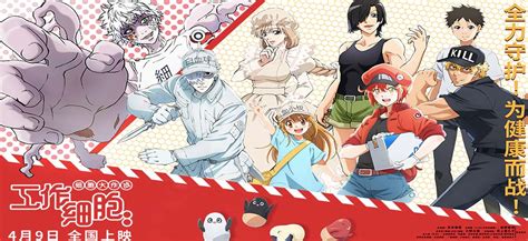 电影版《工作细胞》发布全阵容海报 预售开启解锁细胞萌力