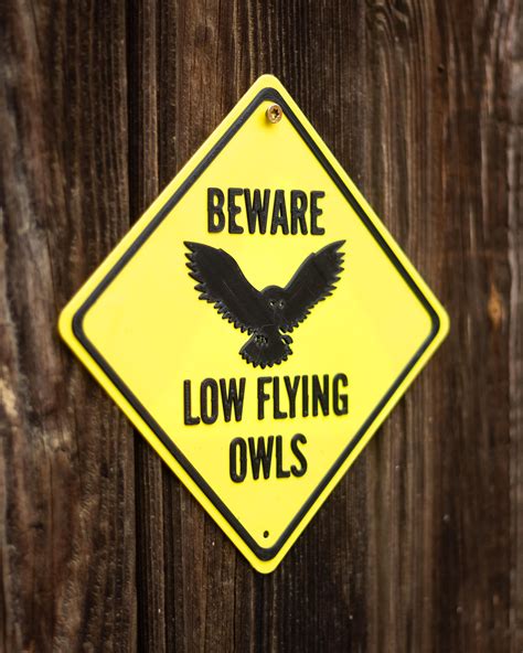 Beware Low Flying Owls Warning Sign Single Colour Printers Friendly