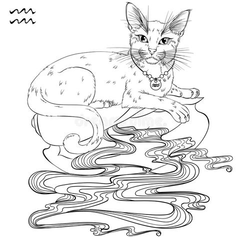 Wassermannkatzentierkreislinie Kunst Zu Machen Vektor Abbildung